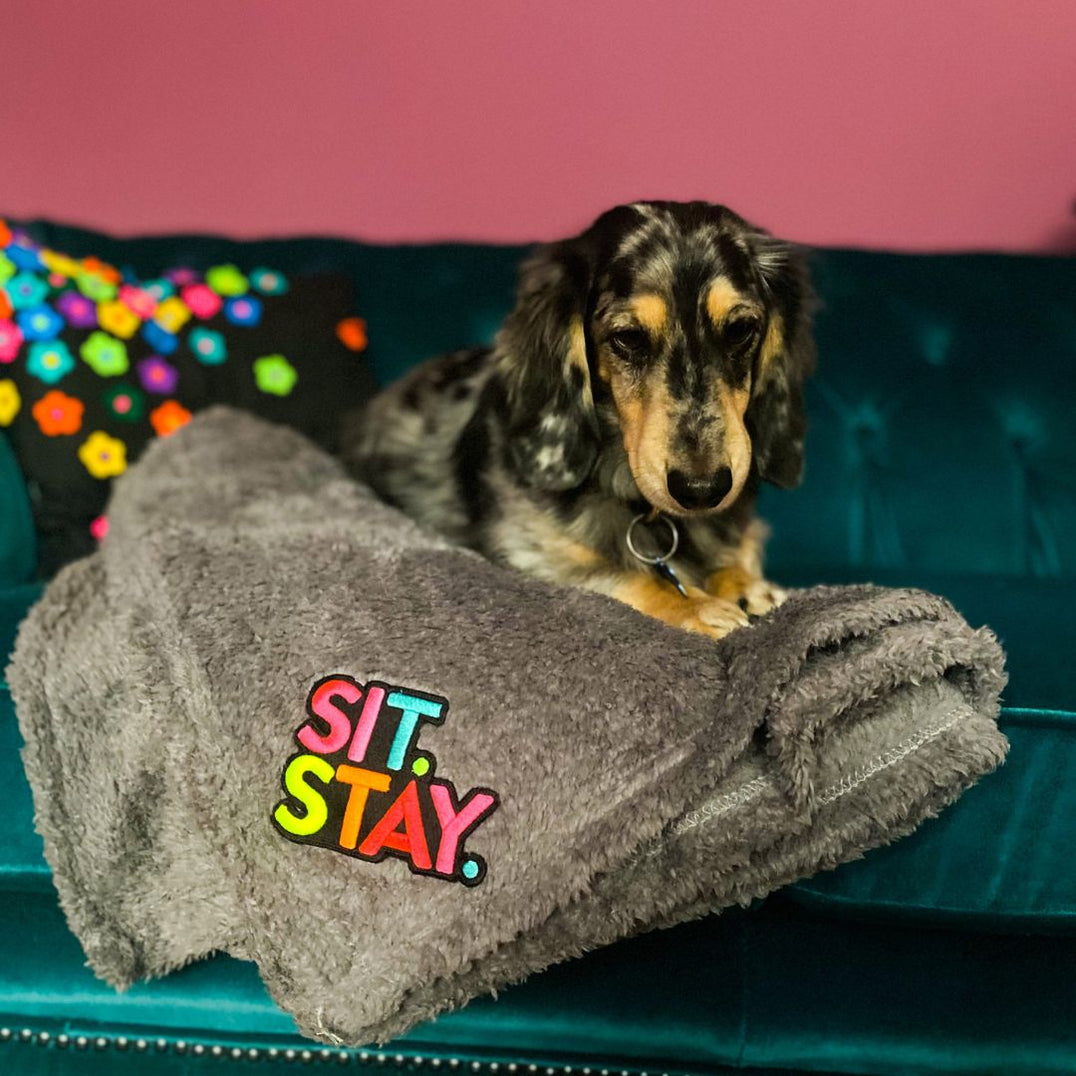 The Distinguished Dog Co | Extraordinary Apparel for Humans and Hounds ...