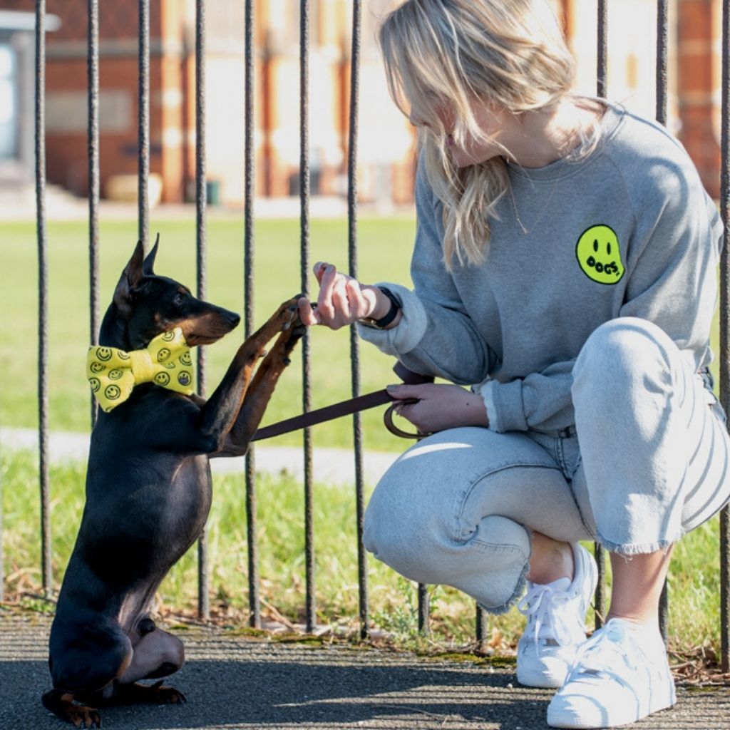 OHMYDOG – The Distinguished Dog Company